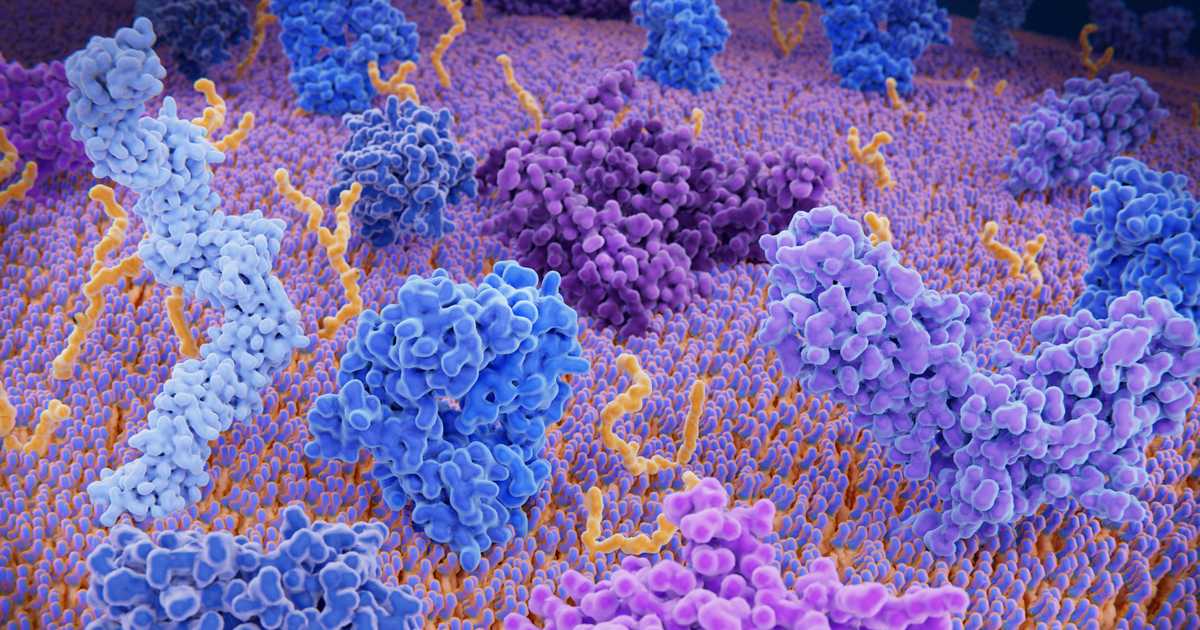 Simultaneous assessment of drug mechanisms and infusion reactions ...