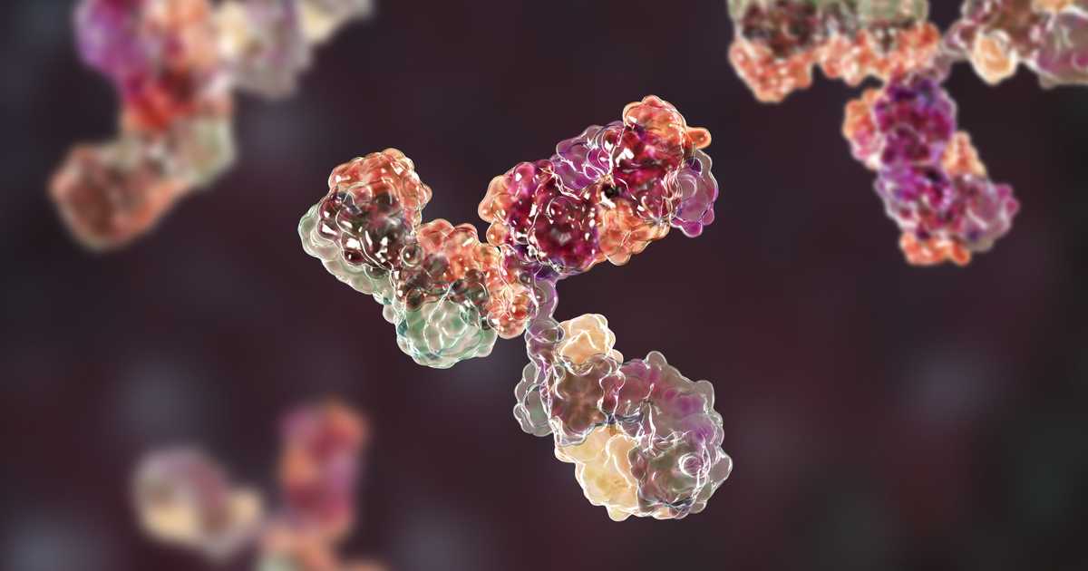 Safety and efficacy in immune-oncology – getting the balance right ...